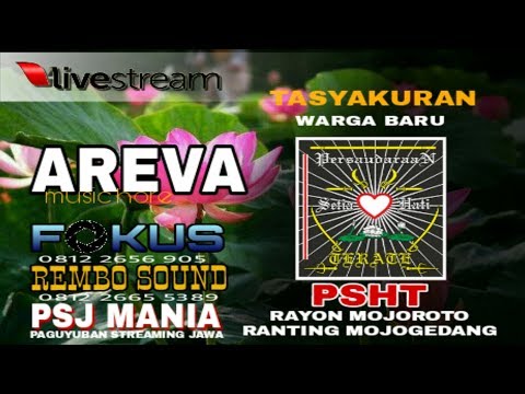 LIVE STREAMING FOKUS MULTIMEDIA//AREVA MUSIC HORE//TASYAKURAN WARGA BARU PSHT RAYON MOJOROTO