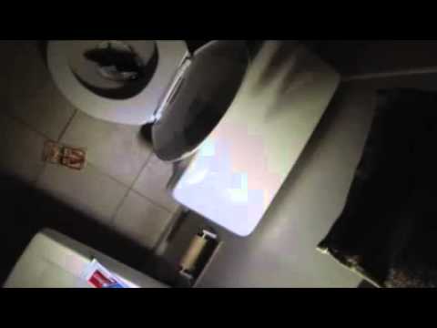 Un rat sort des toilettes - YouTube