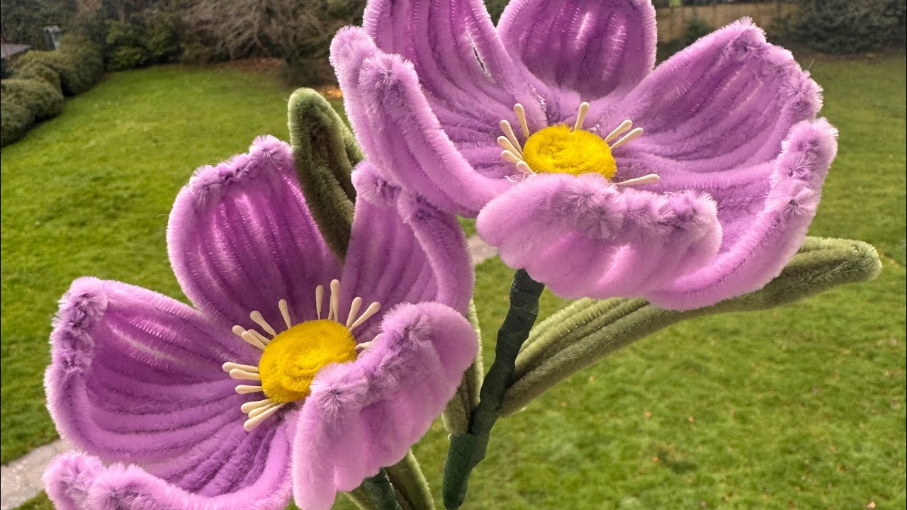 Not What You Think🌸|Wind Flower| Signing of Asha| - YouTube