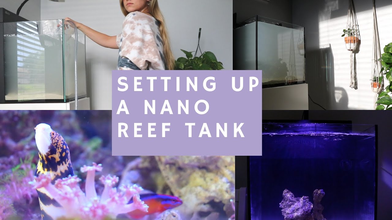 setting up a nano reef tank - YouTube