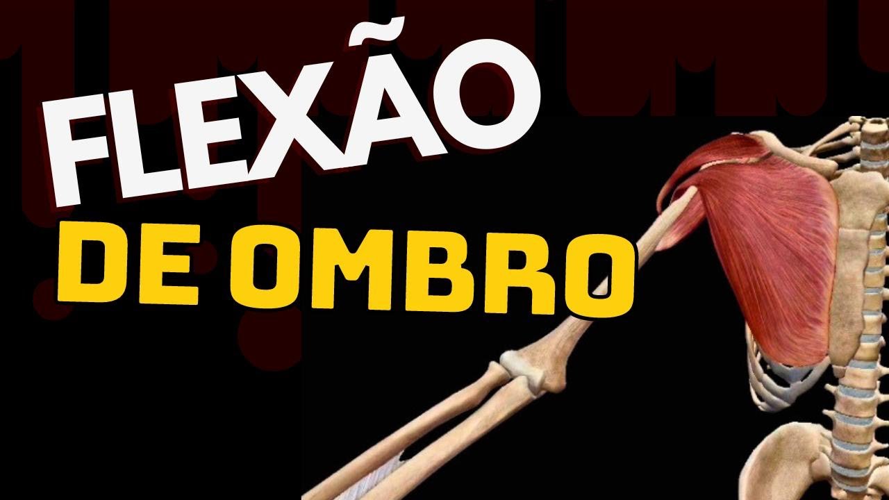 Músculos que realizam a flexão de ombro - YouTube