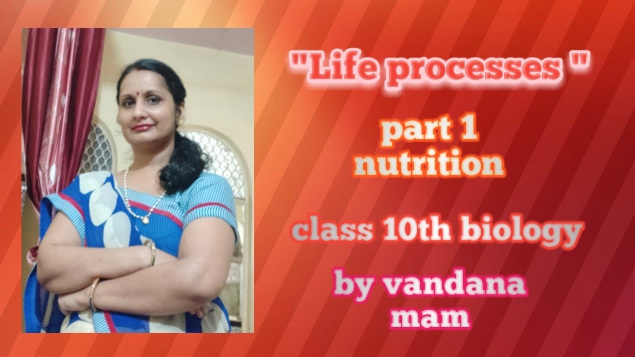 "Life Processes" Biology class 10th by Vandana mam - YouTube