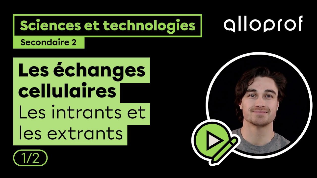 Les échanges cellulaire 1/2 | Sciences et technologies | Alloprof - YouTube