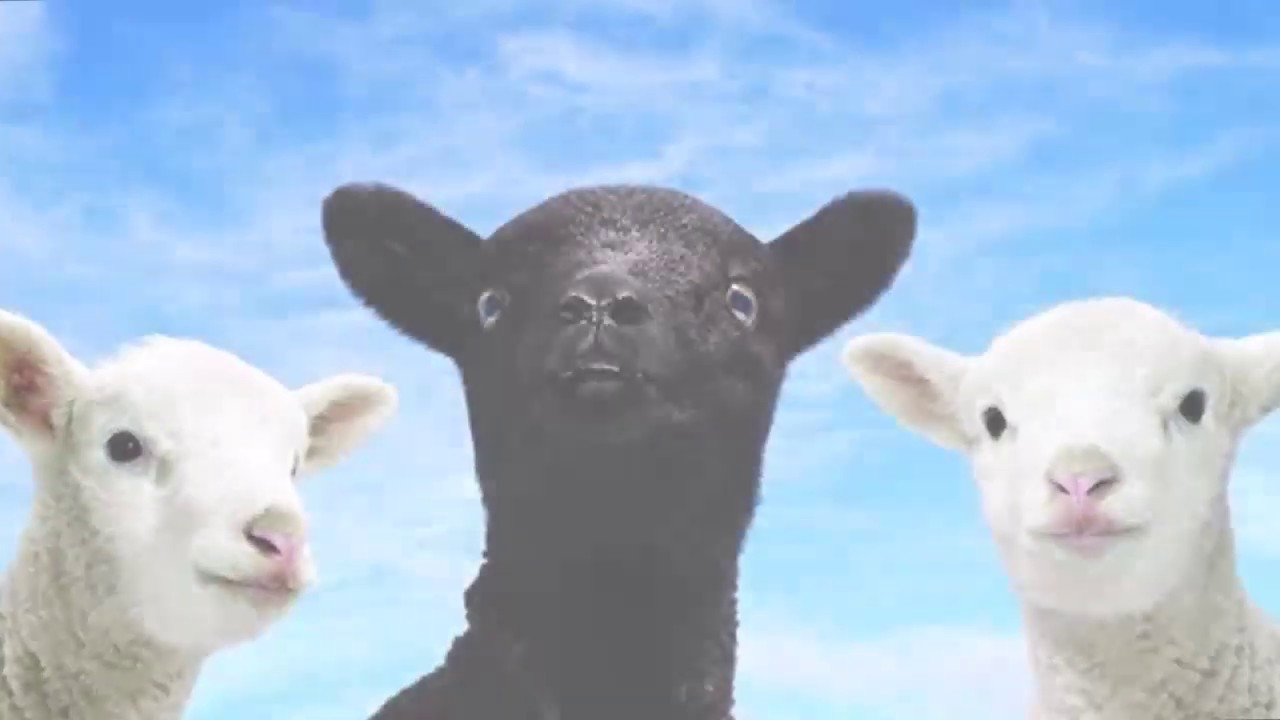 Baa Baa Black Sheep Hip Hop Remix 2019 - YouTube