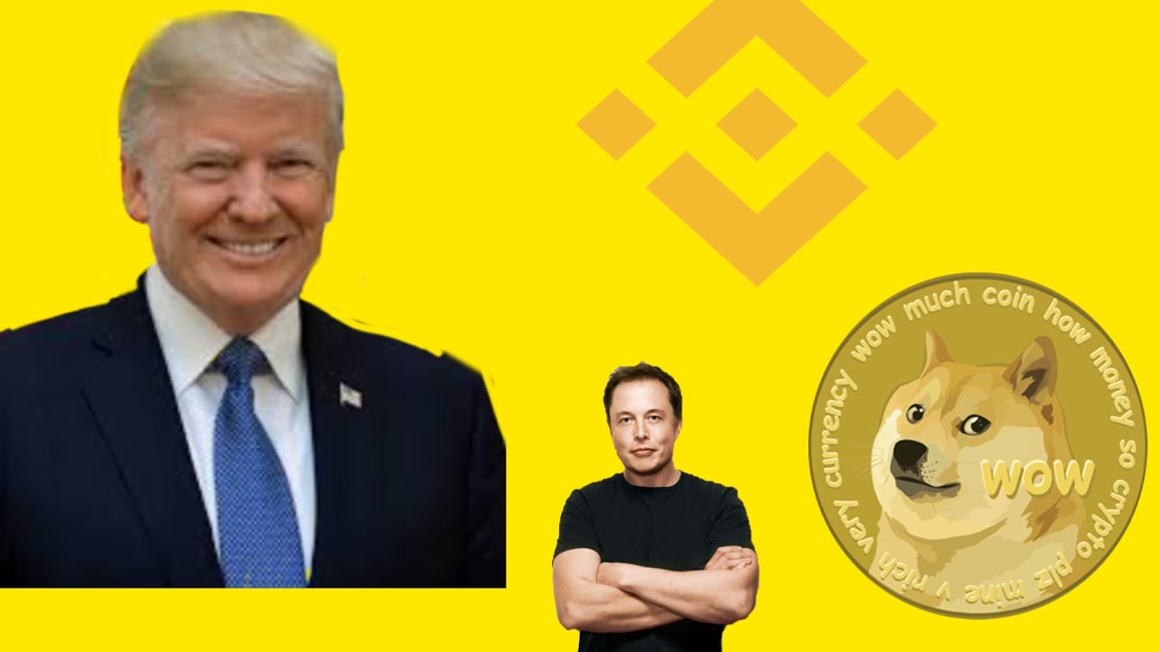 Dogecoin Price Prediction as Donald Trump Returns to Twitter – DOGE ...