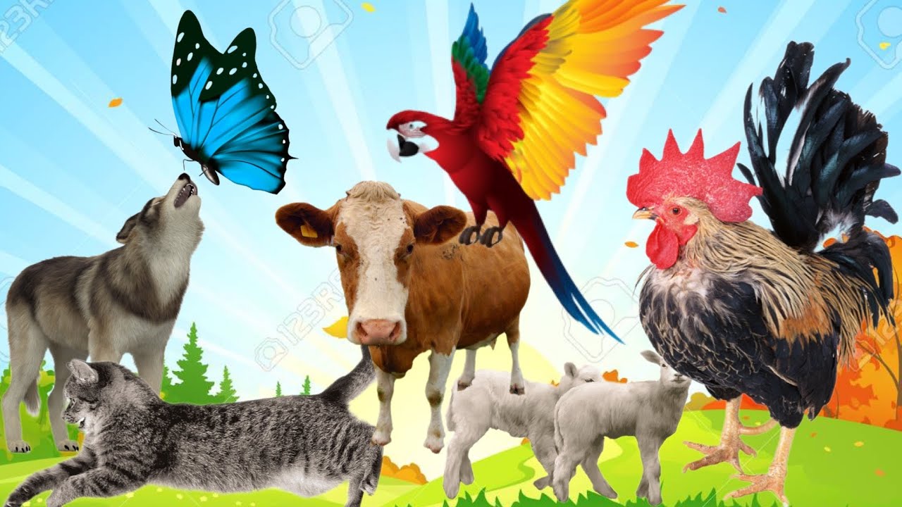 Familiar animals around us,let's learn animals and animal sounds,cat ...