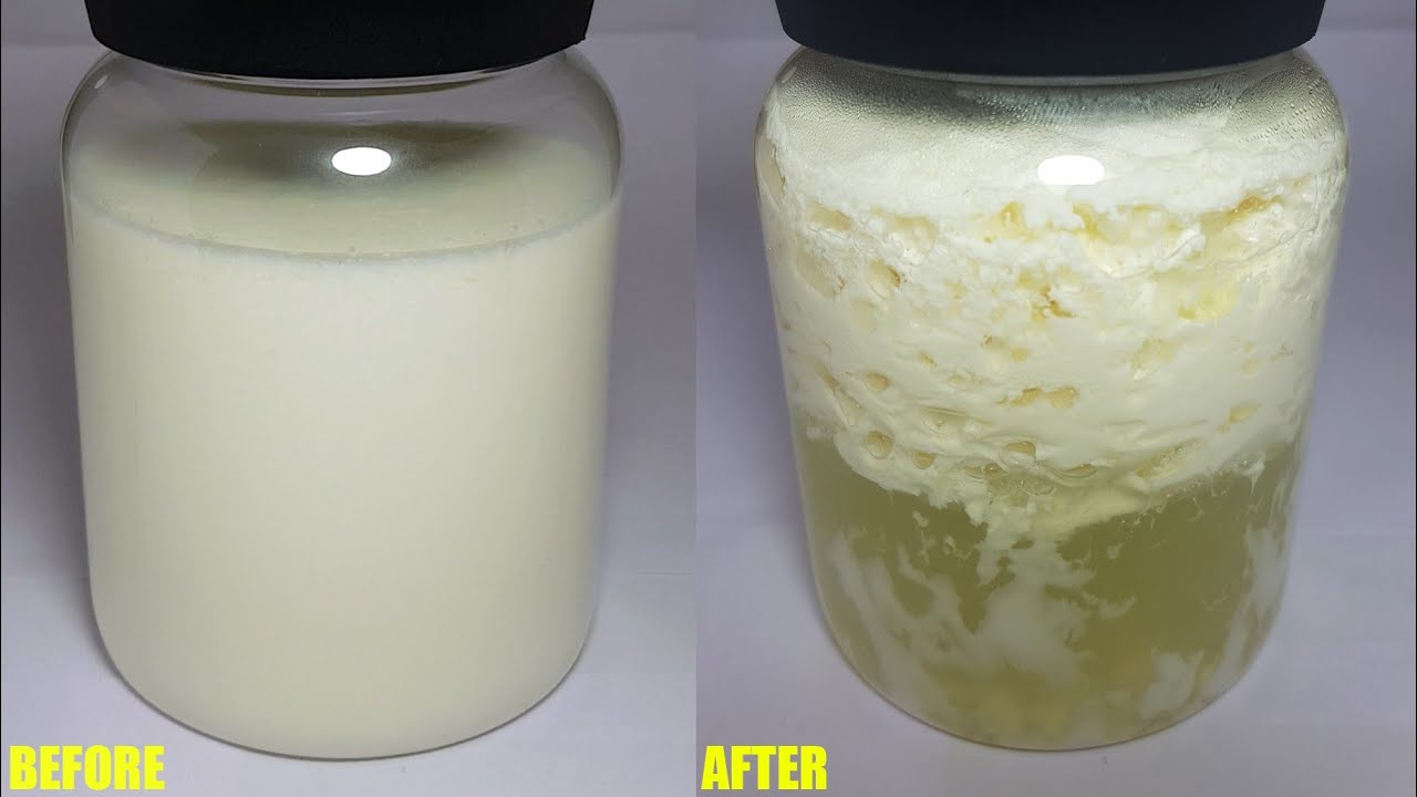 Milk to Curd timelapse 10 hour in 2 minutes - YouTube