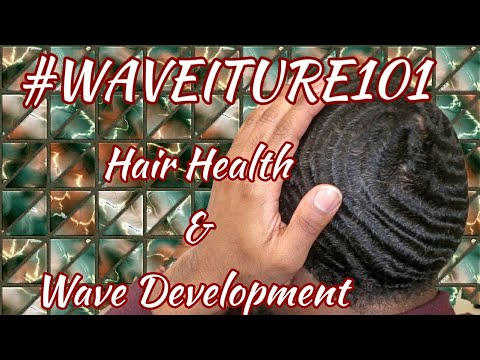 #Waveiture101: Progression Method: How To Wolf, Gain Progress & Get ...