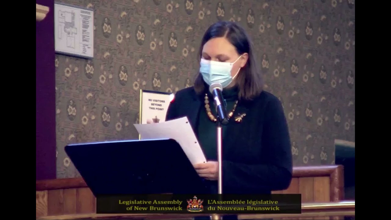 Megan - Incrementalism and Inequality | Incrémentalisme et Inégalité ...