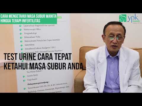 Cara Mengetahui Masa Subur Wanita Hingga Terapi Infertilitas