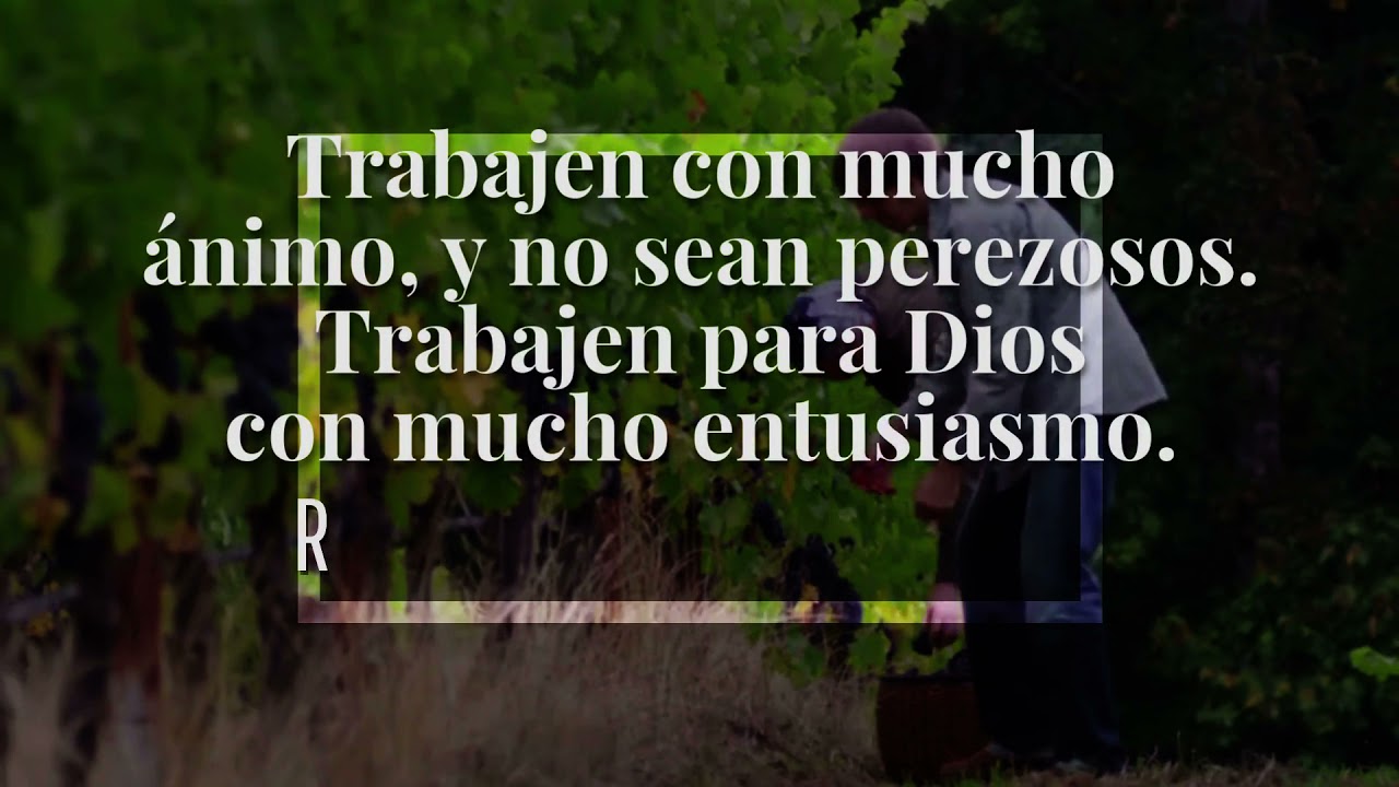 Romanos 12:11 (TLA) - YouTube
