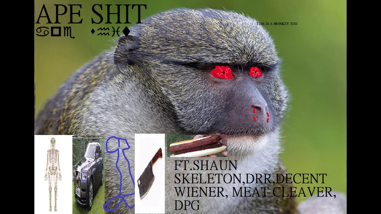APE SHIT(SHAUN SKELETON RETURN) FT. SHAUN SKELETON, DRR, DECENT WIENER ...
