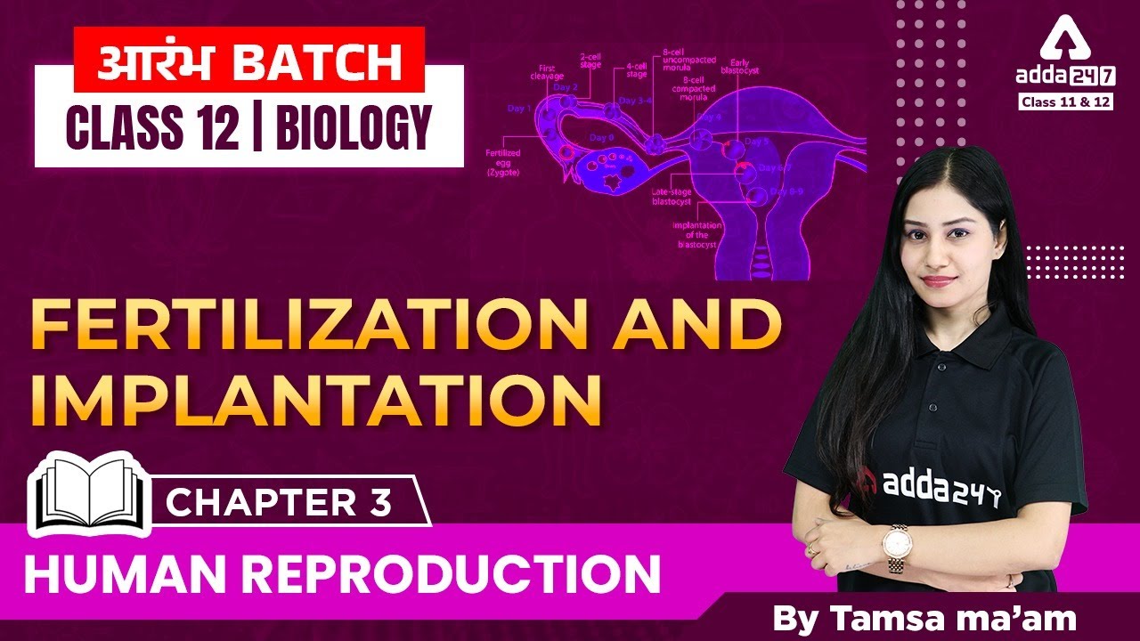 Fertilization and Implantation | Human Reproduction | Class 12 Biology ...