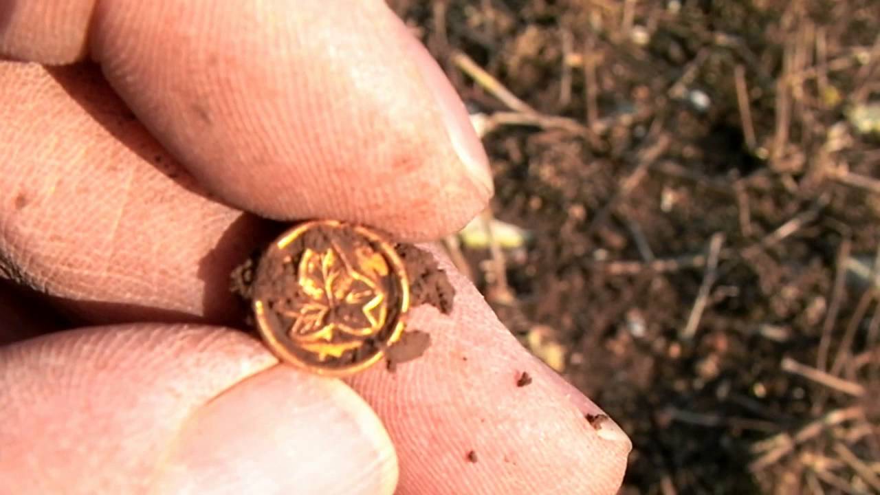 Possible Gold Artifact. - YouTube