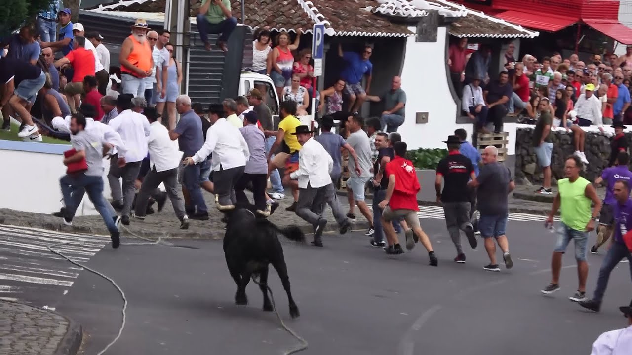 Festas Posto Santo 2022 - Ganadarias ER RB AL EG - Ilha Terceira ...