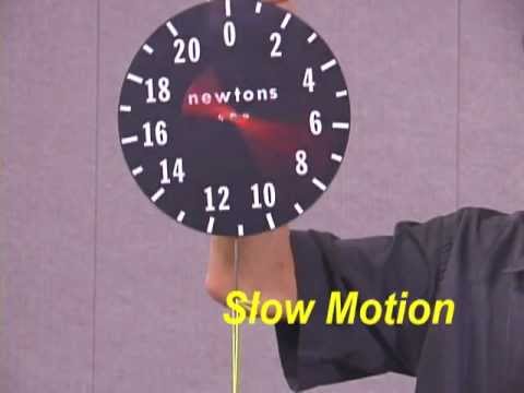 What Does A Spring Scale Measure In Science