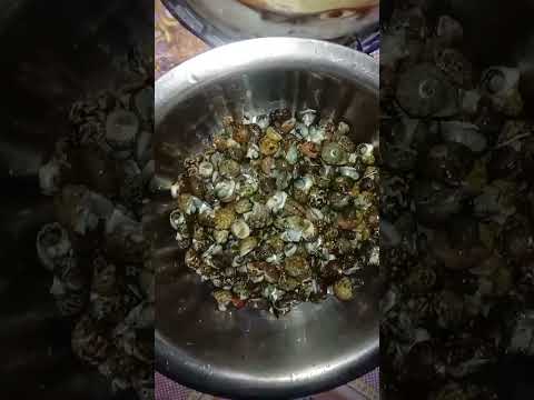 Taktakin/ Sea shell na Ginataan😋💖 - YouTube