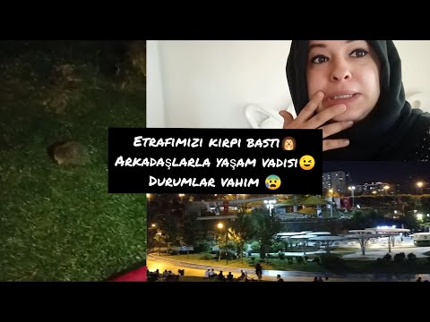 Yaşam vadisi 👣 Durumlar VAHİM 🥺😰