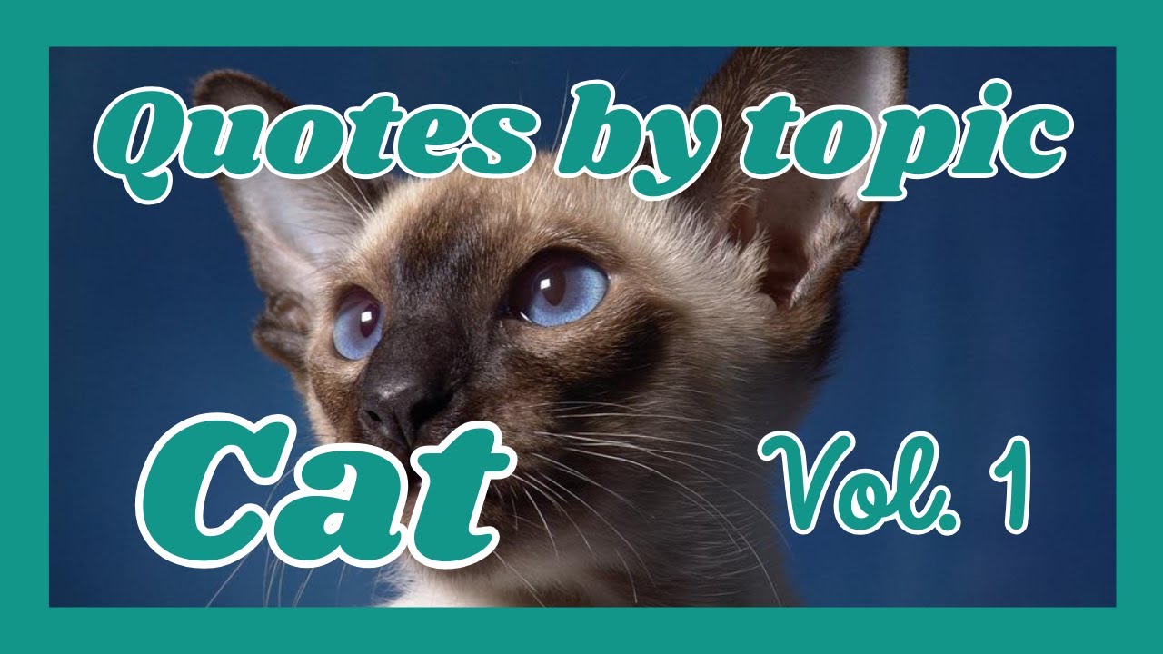 Quotes by Topic | Cat Quotes for the Feline | Volume 1 | Sultry Cat ...