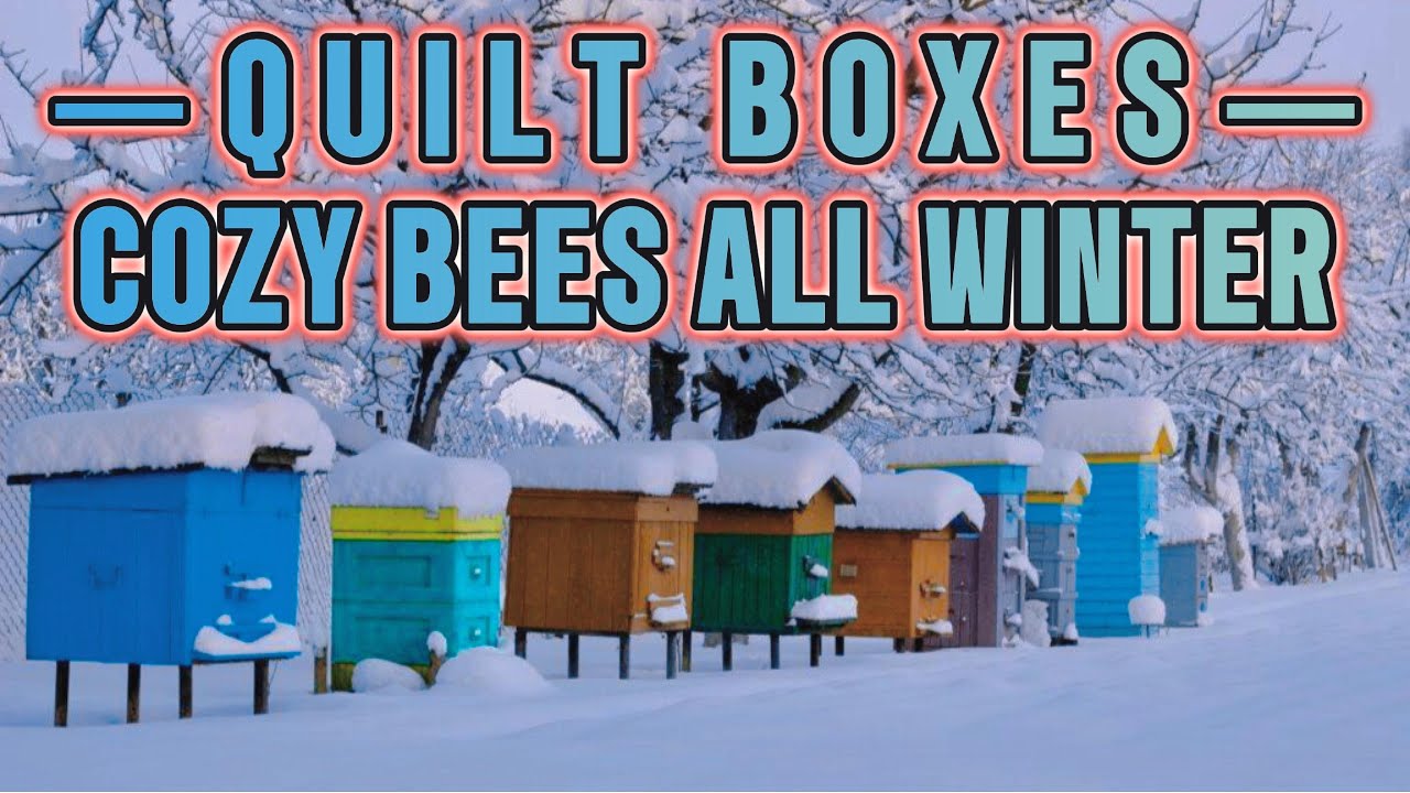 Quilt Boxes - Cozy Bees All Winter - YouTube