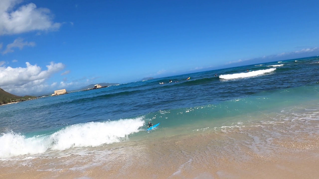 COCKROACH BAY - YouTube