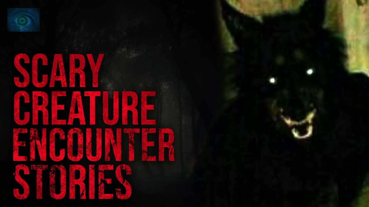 ALL SORTS OF TERRIFYING - SCARY STORIES OF CREATURE AND CRYPTIDS - YouTube