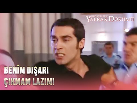 Ferhunde'yi Kıskandığı İçin Kriz Geçirdi! - Yaprak Dökümü Özel Bölüm