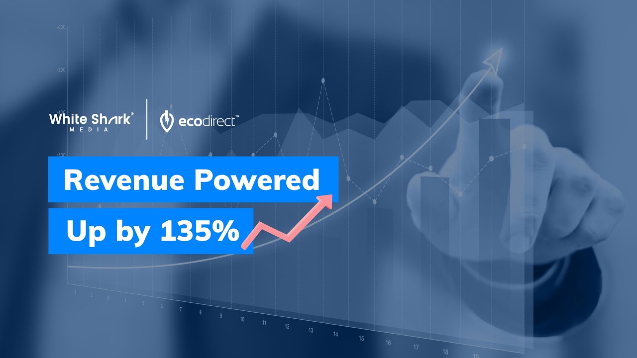 How We Powered EcoDirect’s Revenue By 135% Through an Effective PPC ...