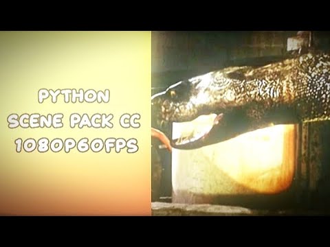 Pyton 2000 scene pack 1080p60fps (pyton 2000) 