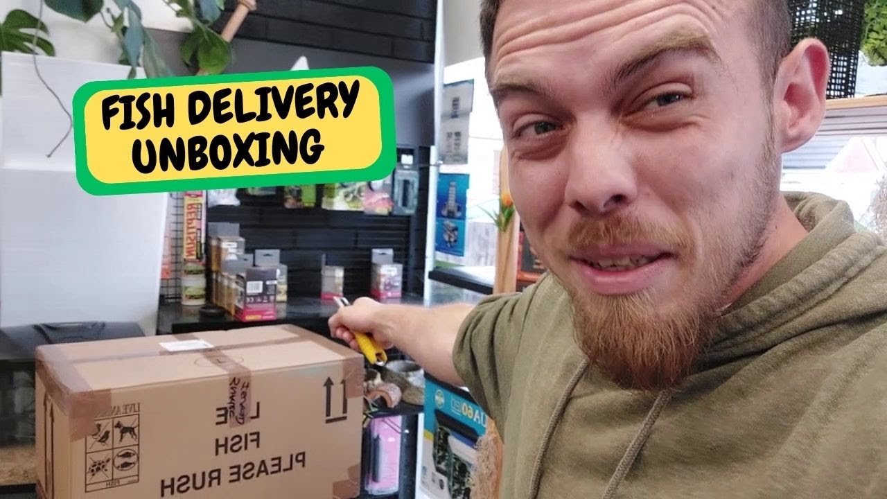 Fish Delivery Unboxing !!! (Snake Island Exotics) - YouTube