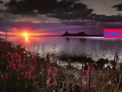 Mahsun KIRMIZIGÜL - kahpe felek