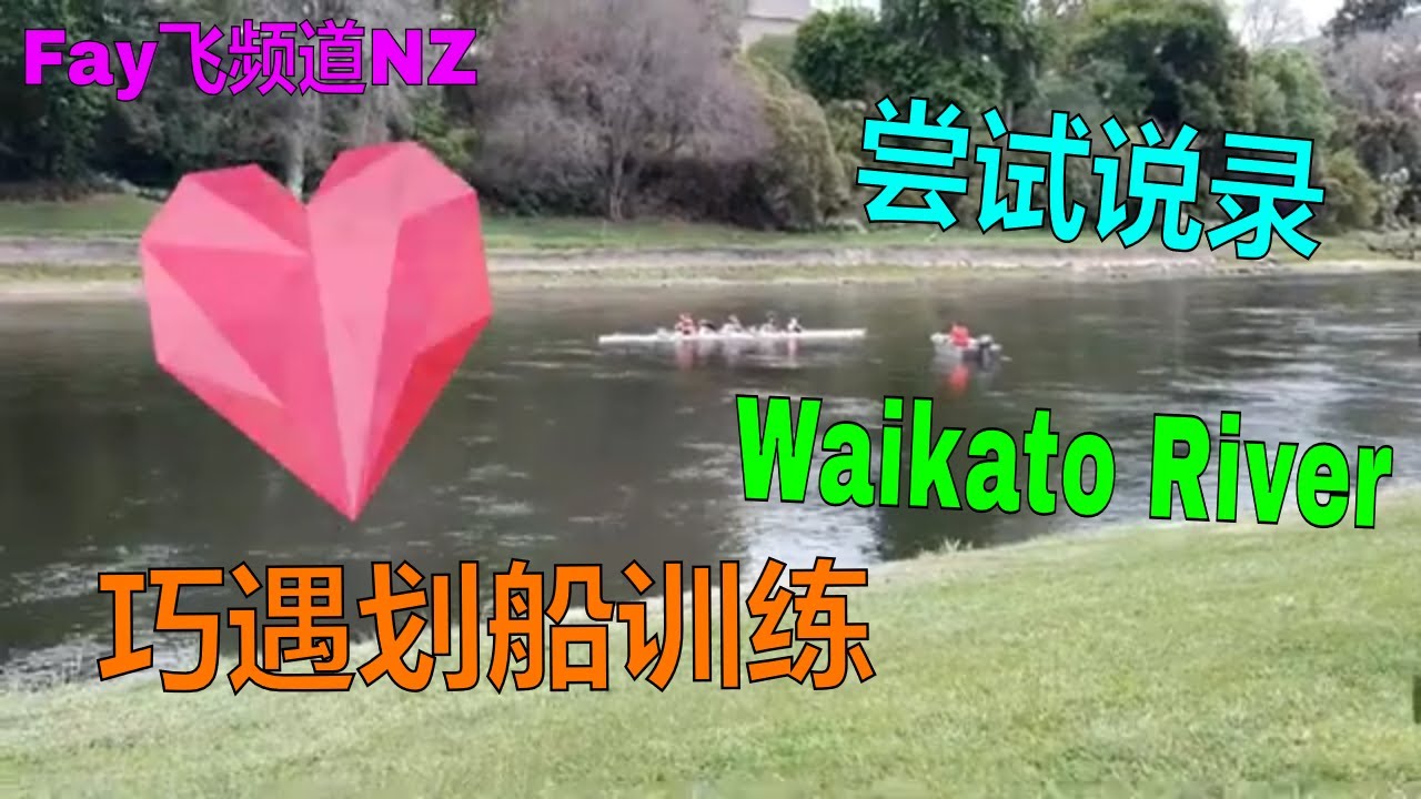 Waikato River自驾游旅行巧遇北岛怀卡托河上划船俱乐部Rowing club划船练习 非常有趣热闹划船训练在岸上解说一番--飞游记 ...
