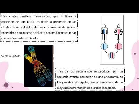 Clase genética médica Disomía uniparental - YouTube