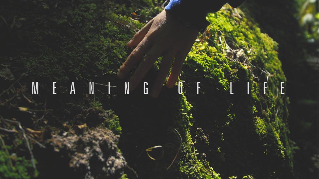Meaning Of Life - Inspirational Video - YouTube