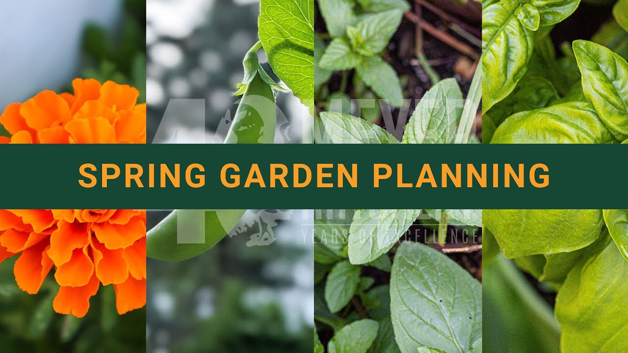 Spring Garden Planning! - YouTube