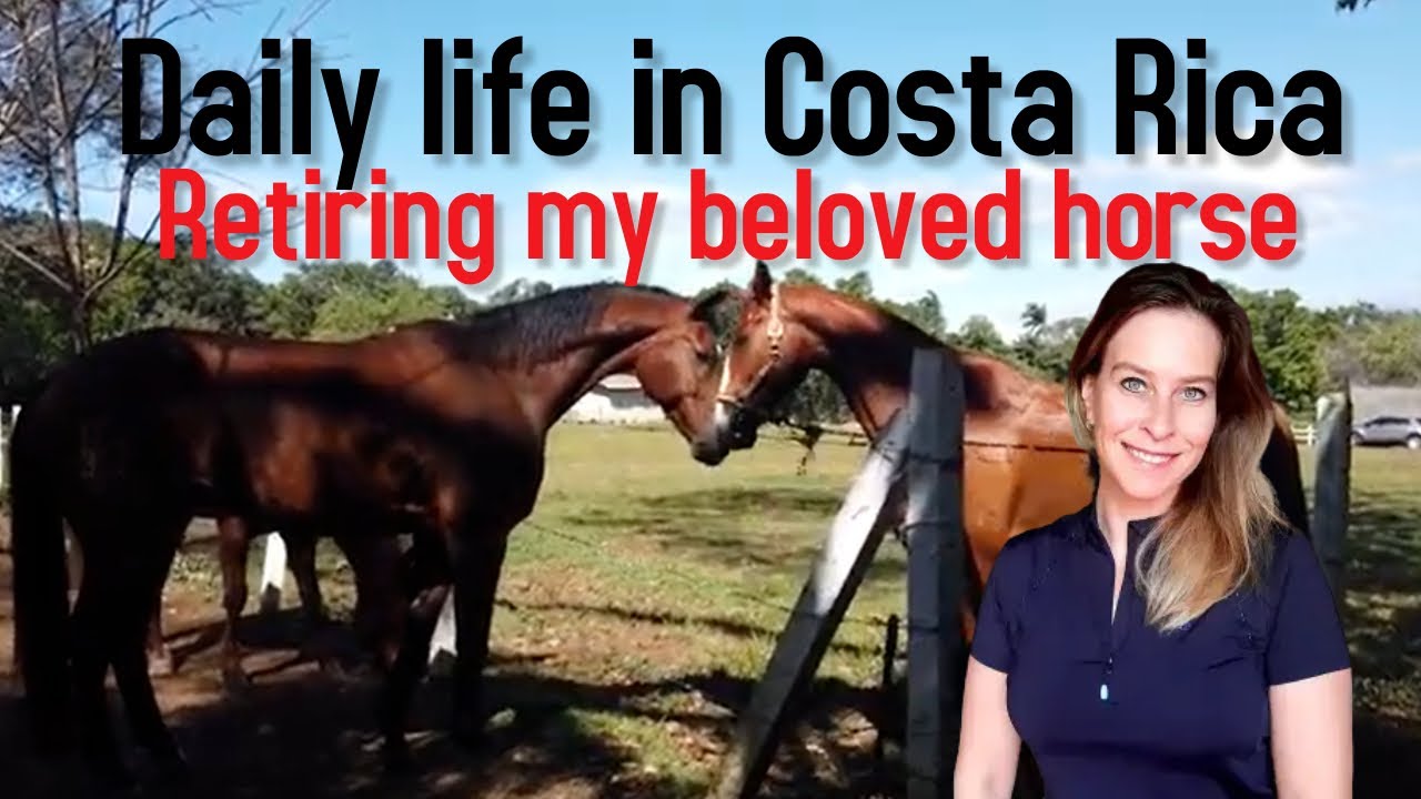 Costa Rica Daily Life - Retiring My Horse - A Day In The Life Of A ...
