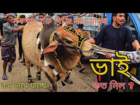 ২৫ মে পানির দাম 🔴 Bhai Koto Nilo 2026_Gabtoli Cattle Market_Qurbani Cow Price 2026_Gorur Haat Update