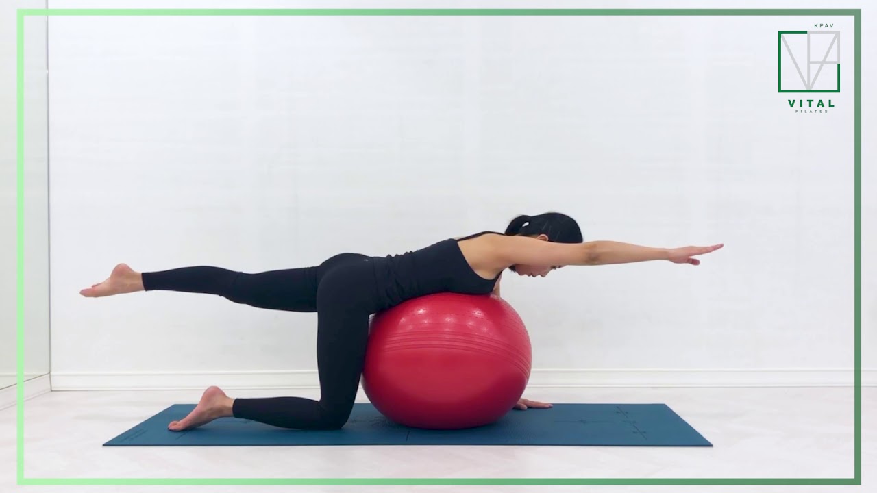 gym ball / alternate arm and leg lift - YouTube
