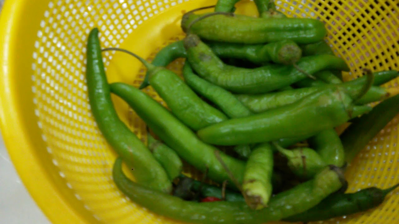 atchar mango - YouTube