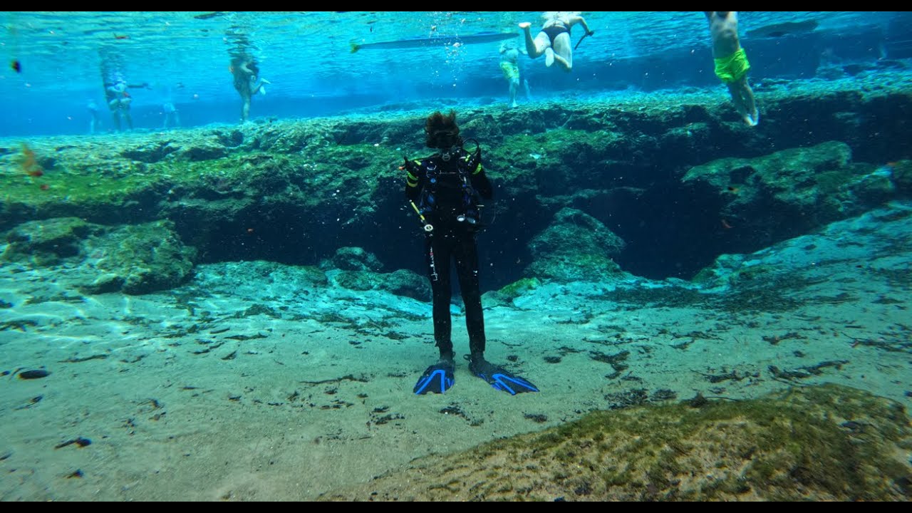 Scuba Diving Multiple Locations at Ginnie Springs + Searching for River ...