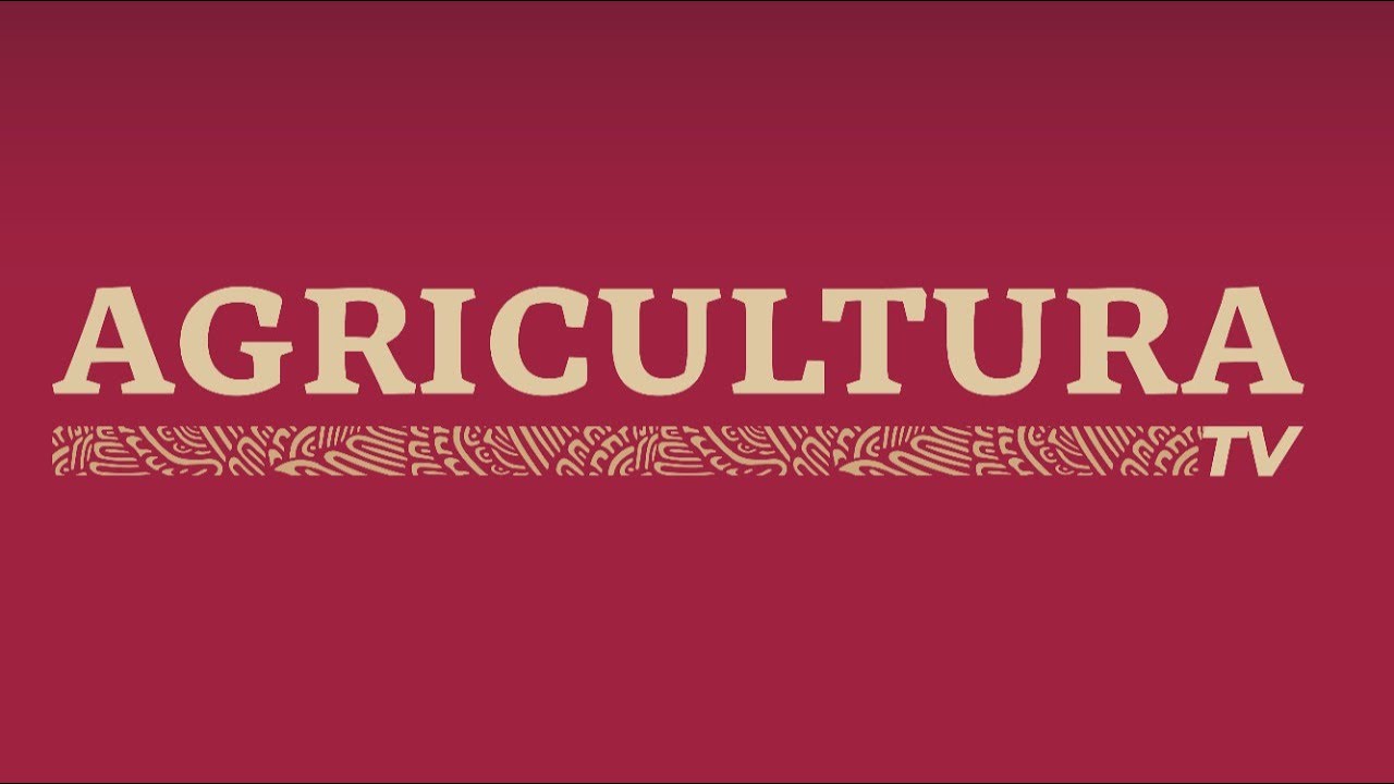AGRICULTURA TV 034 - YouTube