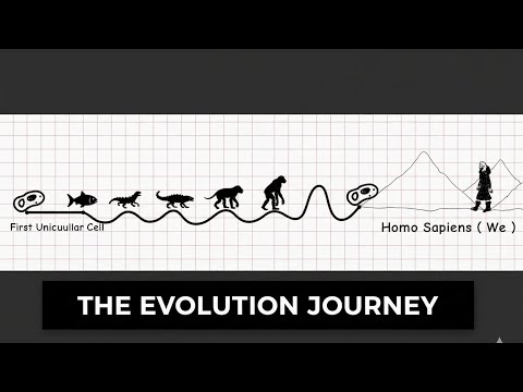 Evolution Journey 2d Animated | #animation #youtube #evolution # ...