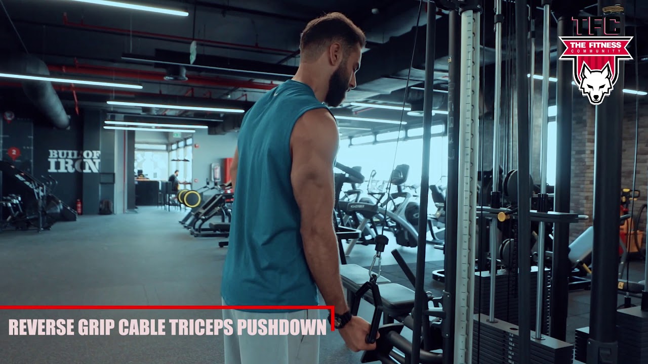 Reverse grip Cable triceps Pushdown - YouTube