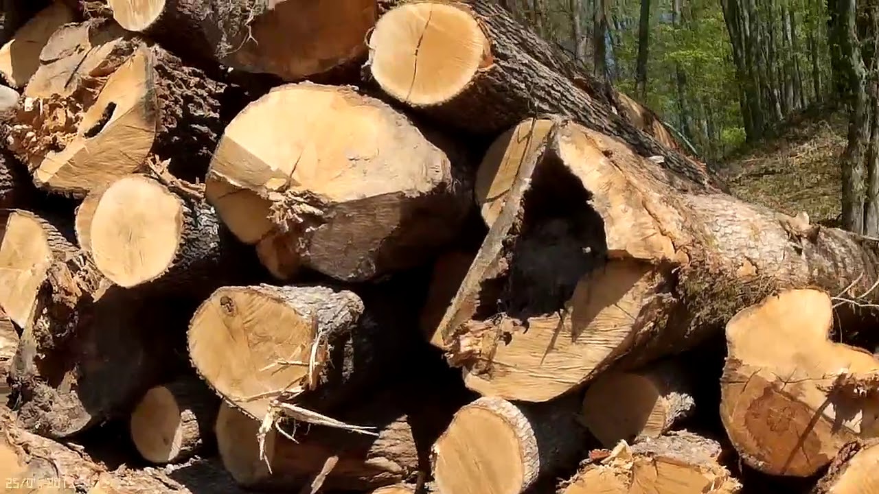 Defrisare Sighisoara 2014 - YouTube