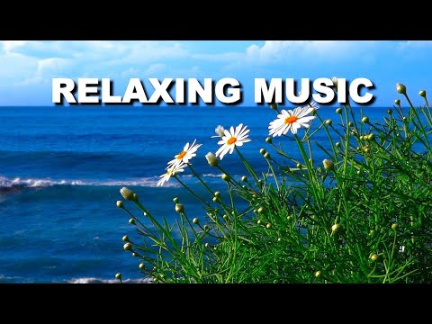 Relaxing Music🌼 Healing Music For Health And Calming The Nervous System ...