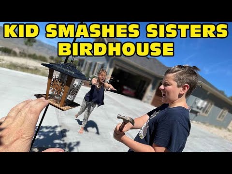 Kid Smashes Sister's NEW Birdhouse! - She Cries! [Original]