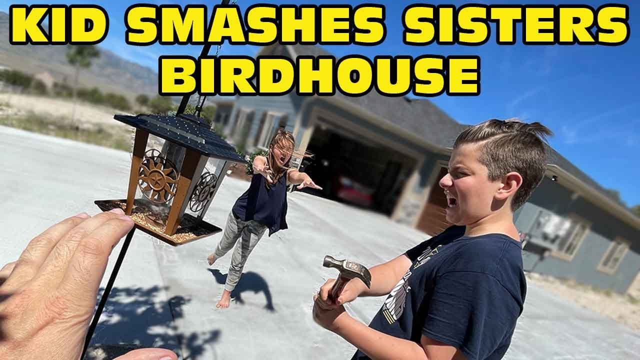 Kid Smashes Sister's NEW Birdhouse! - She Cries! [Original] - YouTube