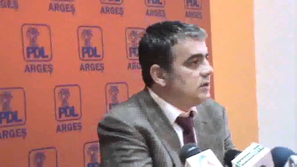 Arges Online PDL Mircea Andrei despre alegerile anticipate de la ...
