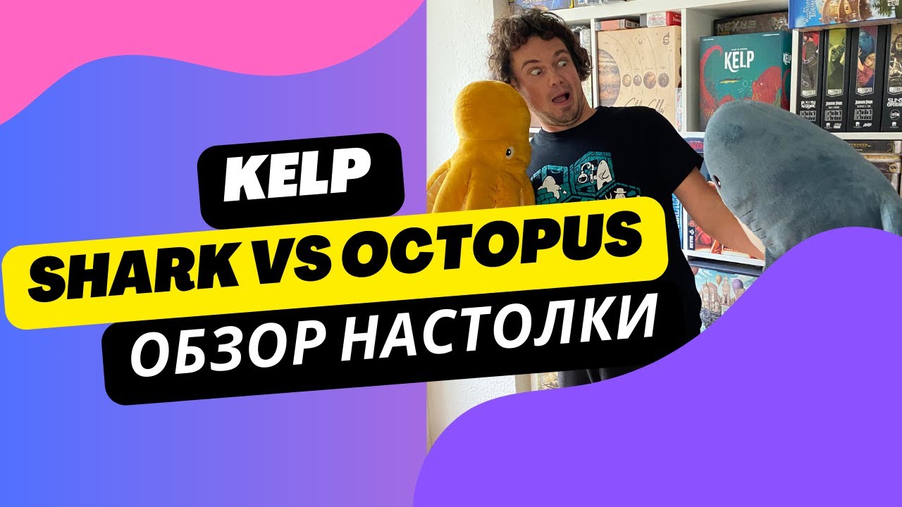 Настольная игра КЕЛП 🐙 Правила и Обзор | KELP Shark vs. Octopus | Board ...