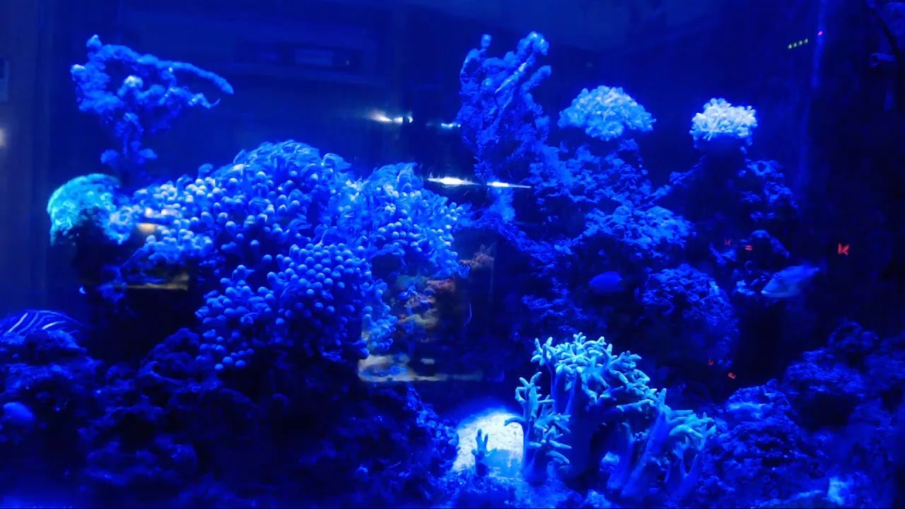 Matt Klapper Live Stream - YouTube